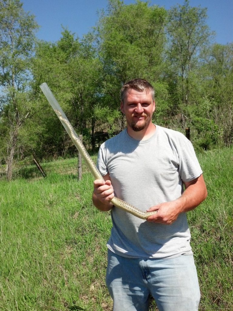 The Alison Haskell Award | PARC