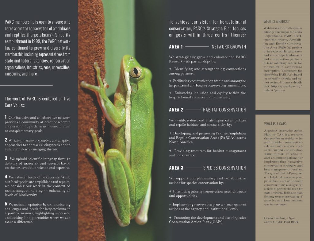 Strategic Plan | PARC