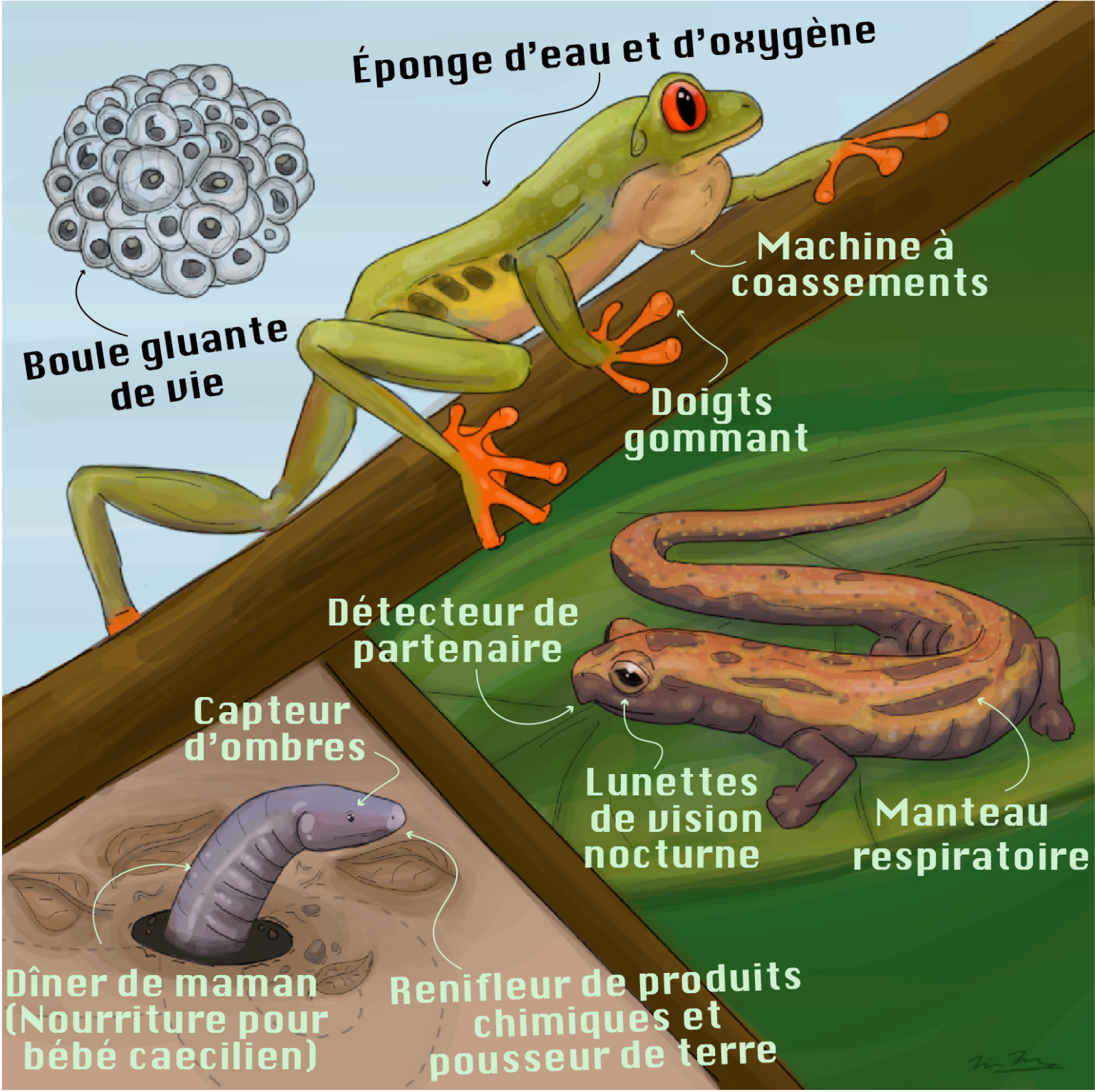 Unscience an Amphibian_French | PARC