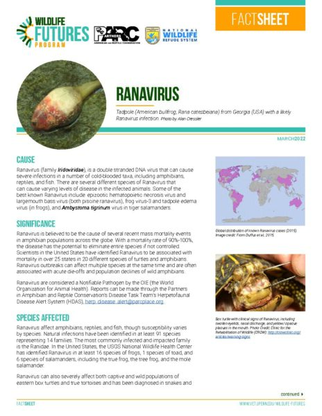 WFP Fact Sheet–Ranavirus_3 | PARC