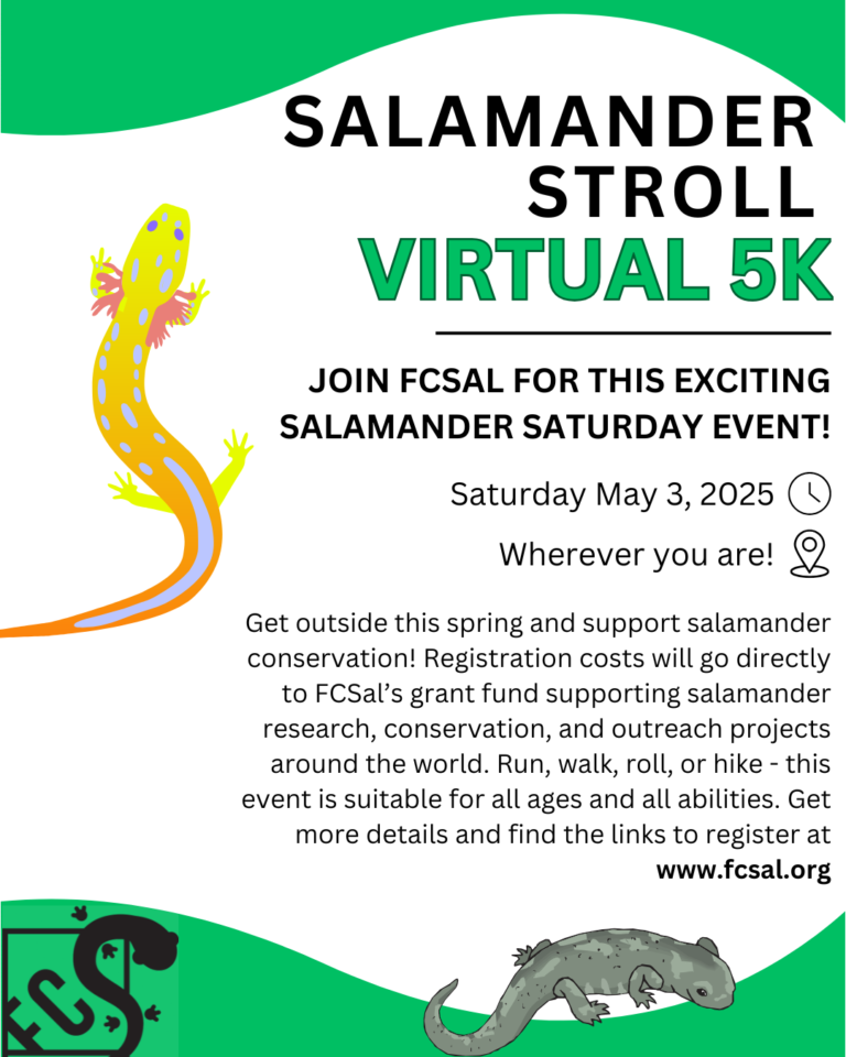Salamander Saturday Virtual 5K | PARC